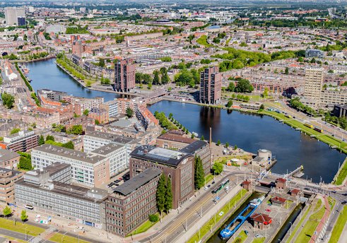 Common Ground | Centric_Insights