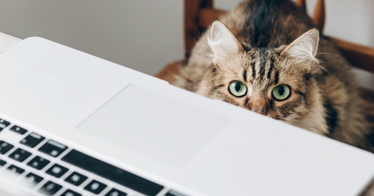 6 security tips for safe remote working | Centric_Insights